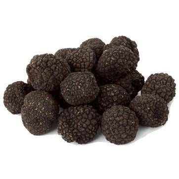 Fresh Burgundy Truffles (Tuber Uncinatum) | Pinocchio's Pantry ...