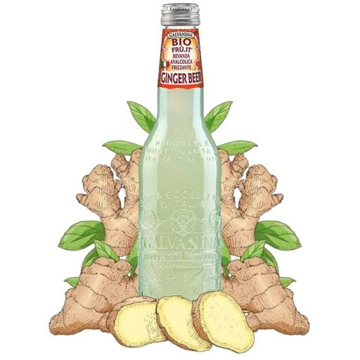 GALVANINA Organic Italian Ginger Beer Sparkling Soda – Pinocchio's ...