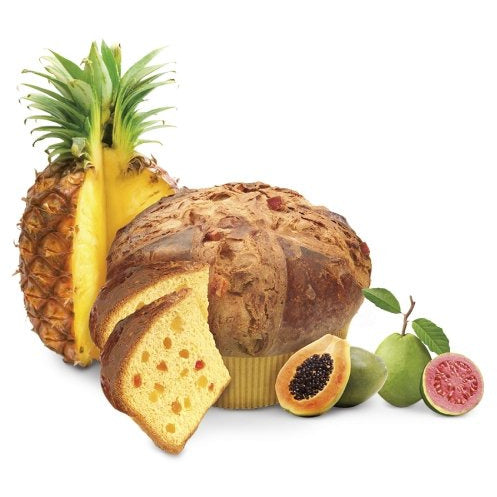 MAINA Linea Gold Exotic Fruit Panettone | Pinocchio's Pantry ...